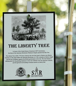AMERICA 250- Liberty Tree Program