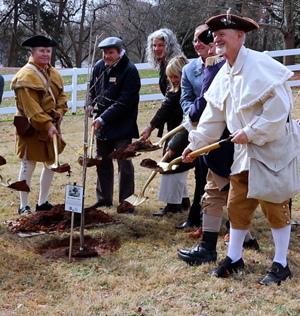 AMERICA 250- Liberty Tree Program