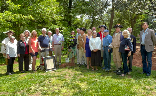 AMERICA 250- Liberty Tree Program