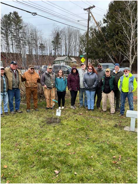 AMERICA 250- Liberty Tree Program